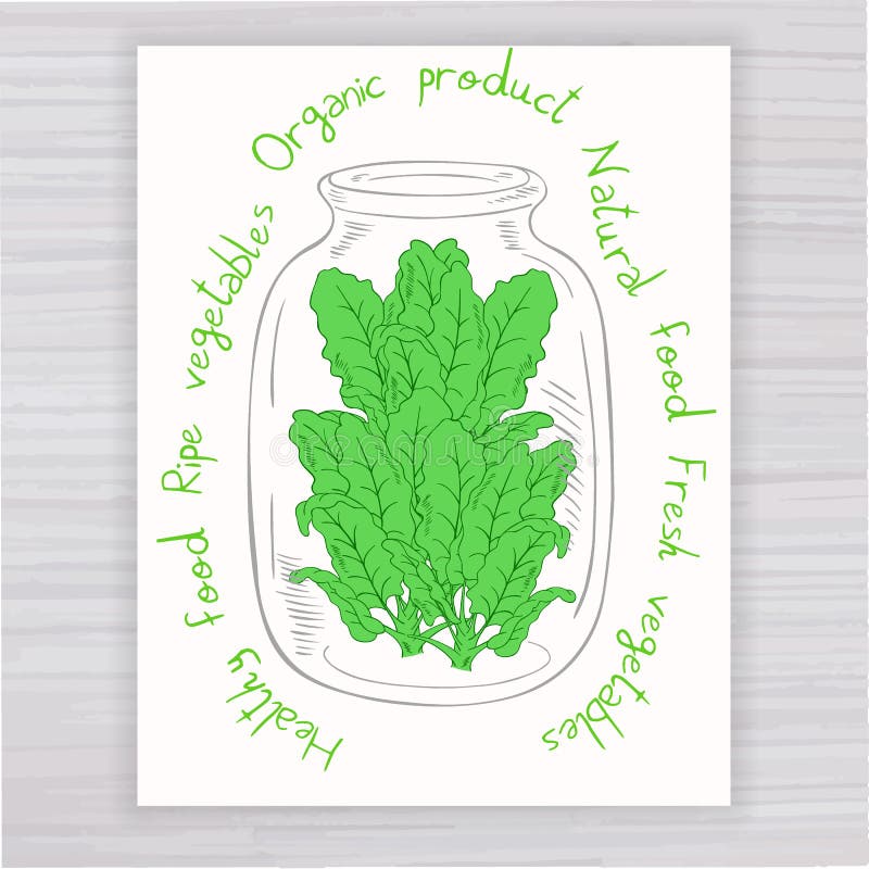 Vector Hand Drawn Poster with Jar Full of Spinach with Text on Wooden ...
