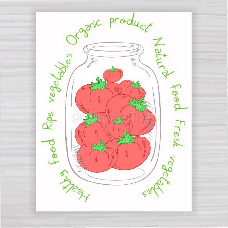 Tomato Text Font Cartoon, Isolated on Background Stock Vector ...