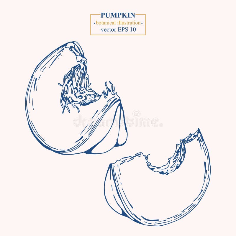 Set of Vector Hand Drawn Men with Different Types of Male Appearance ...