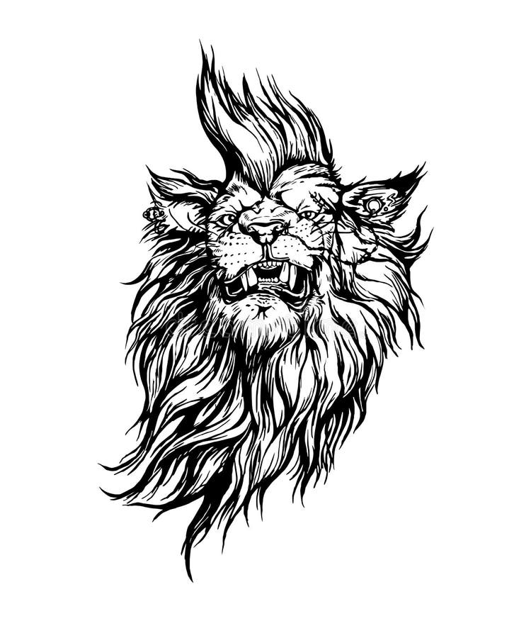 Vector Hand Drawn Realistic Lion-punk Stock Vector - Illustration of ...