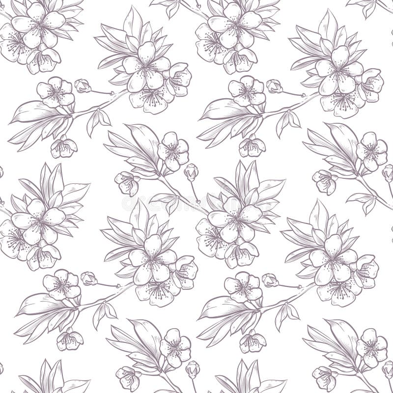 Vector Hand Drawn Sakura Seamless Pattern Stock Vector - Illustration ...