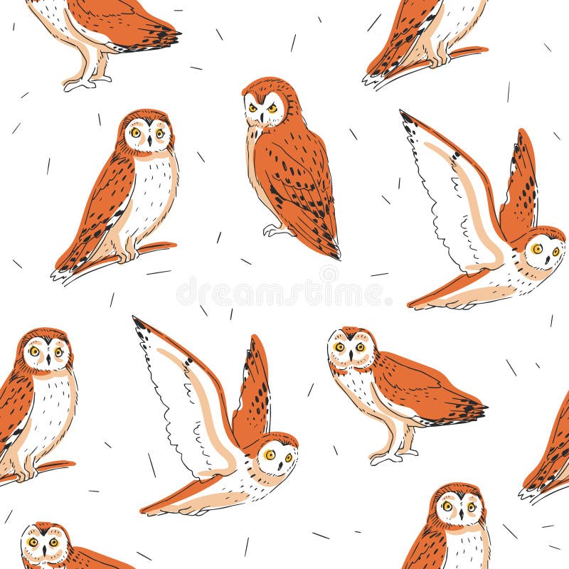 Vector Hand-drawn Seamless Pattern with Cute Owls Isolated on White ...