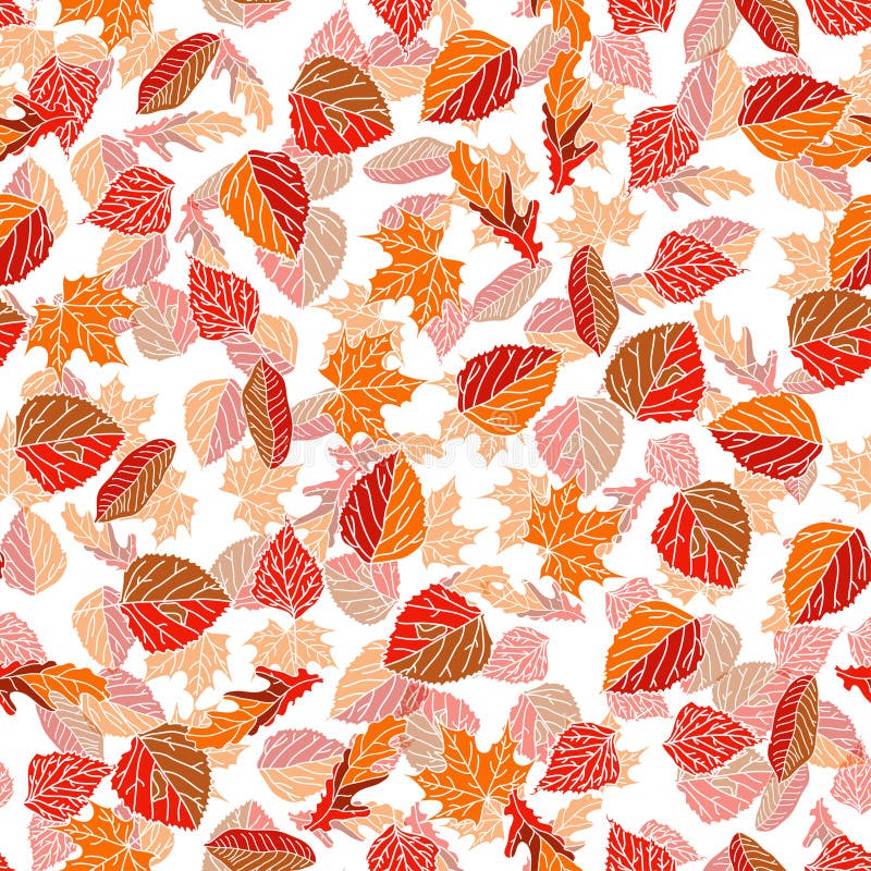 Vector Hand Drawn Seamless Pattern of Fall Leaves of Birch, Oak, Maple ...