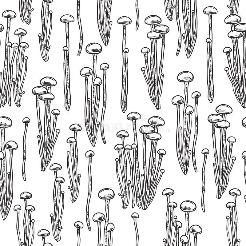 Enoki Mushroom Sketch Drawing Stock Photos - Free & Royalty-Free Stock ...