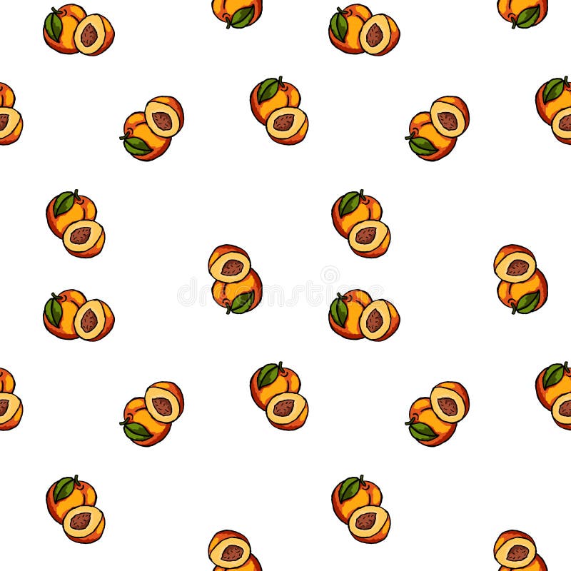 Vector Hand Drawn Seamless Peaches Pattern Stock Vector - Illustration ...