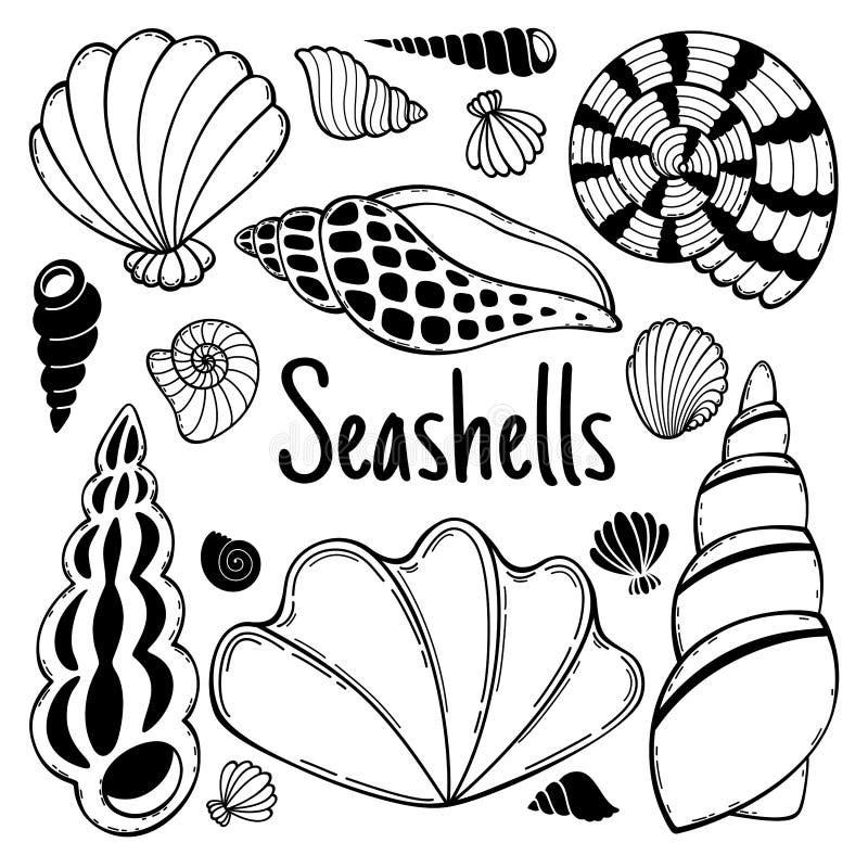 Clamshells Stock Illustrations – 49 Clamshells Stock Illustrations, Vectors & Clipart - Dreamstime