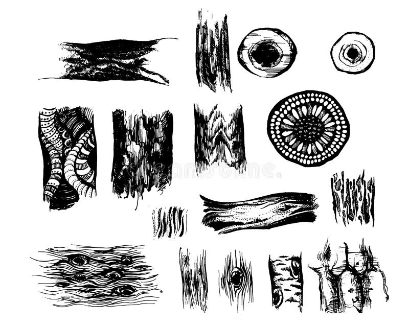 Vector Hand Drawn Sketch of Abstract Wood Texture Illustration on White ...