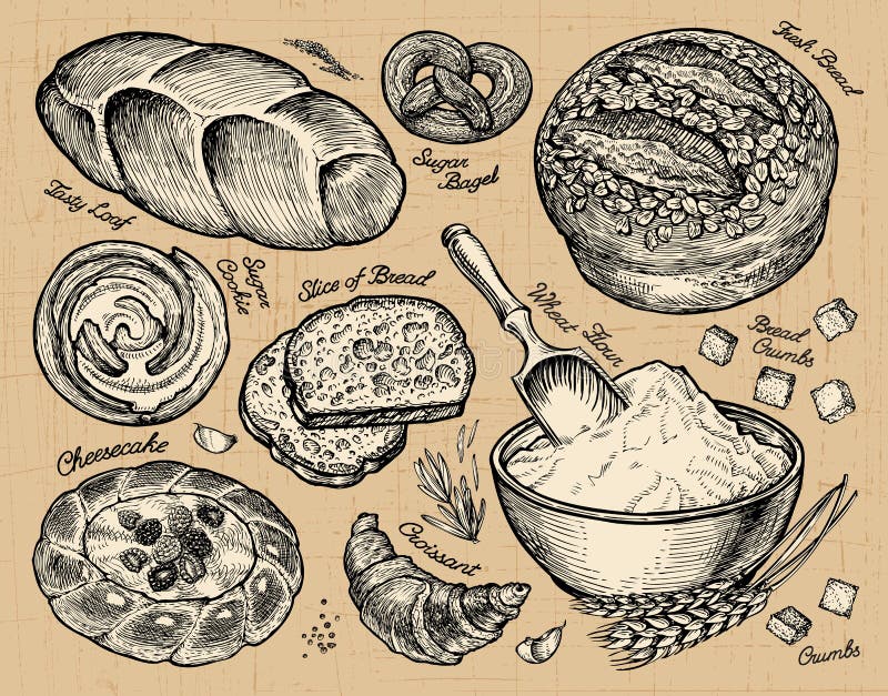 Bread, Bakery. Hand-drawn Sketches Of Food. Vector Illustration Stock ...