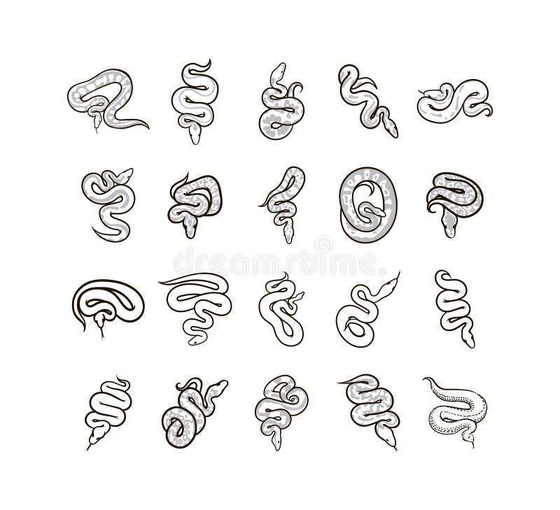 Vector Hand Drawn Snake Sign Symbol Illustration on White Background ...