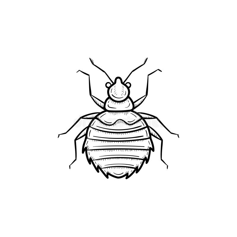 Hand Draw Sketch Spider Web Stock Illustrations – 165 Hand Draw Sketch ... Hand Draw Sketch Spider Web Stock Illustrations – 165 Hand Draw Sketch ...