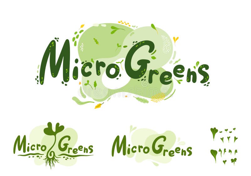 Microgreens or Baby Greens , Lettering, Logo,illustration Objects Stock ...