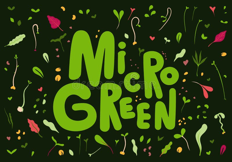 Microgreens or Baby Greens , Lettering, Logo,illustration Objects Stock ...