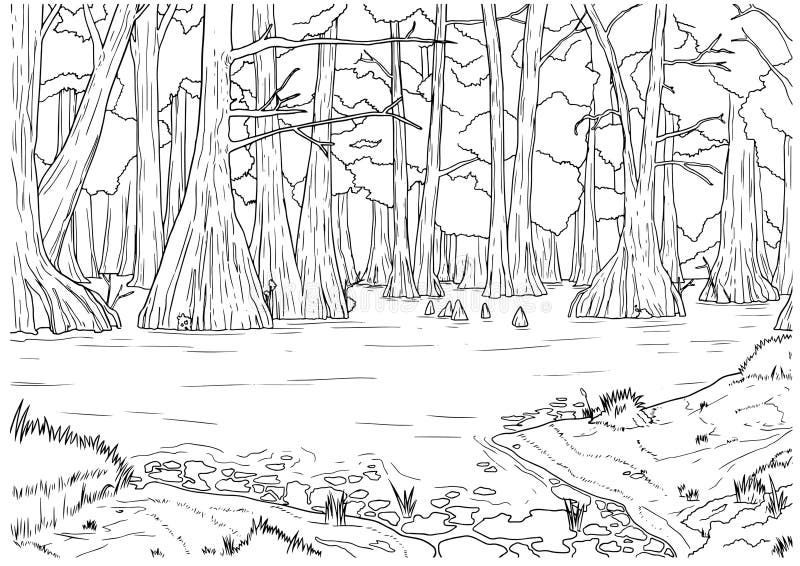 Vector Hand Drawn Tree Dwellers in Swamp Outline Illustration Stock ...