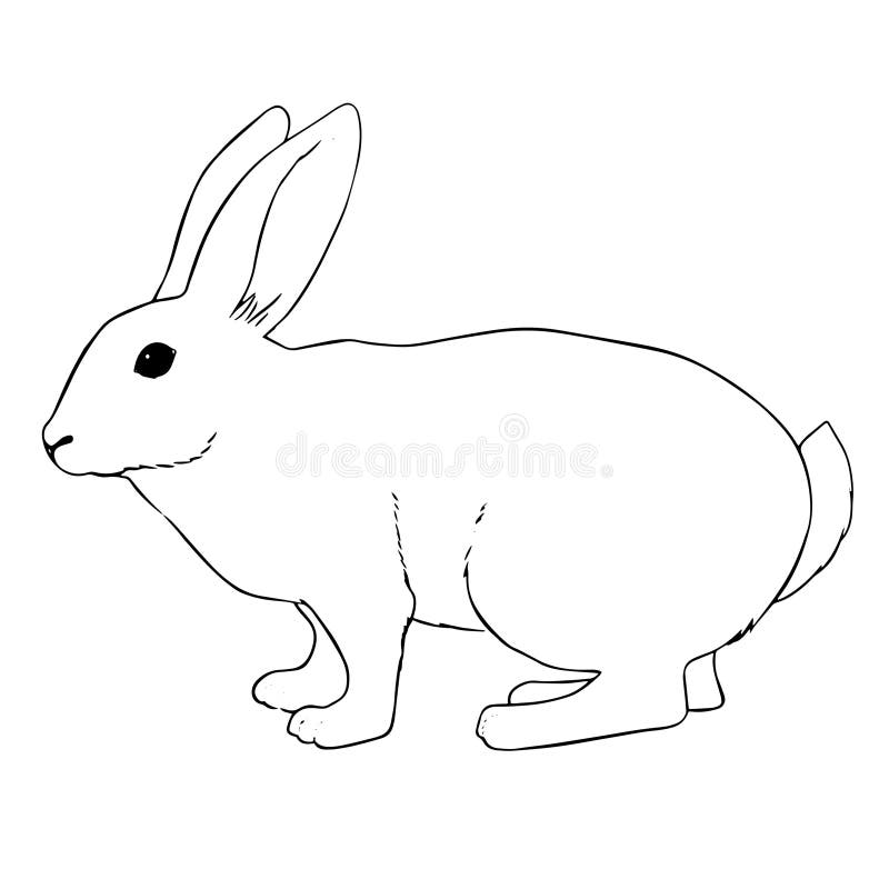 Rabbit Outline Stock Illustrations – 28,143 Rabbit Outline Stock ...