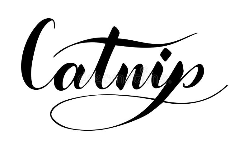 Catnip Lettering Stock Illustrations – 8 Catnip Lettering Stock ...