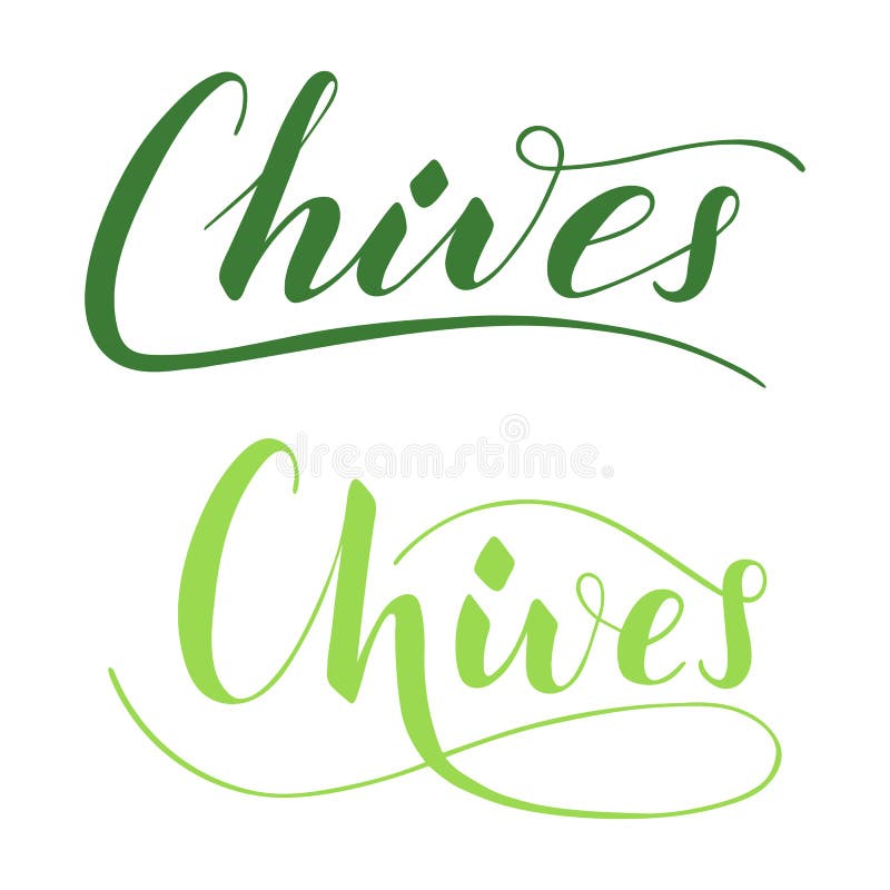 Chives Logo Stock Illustrations – 230 Chives Logo Stock Illustrations ...