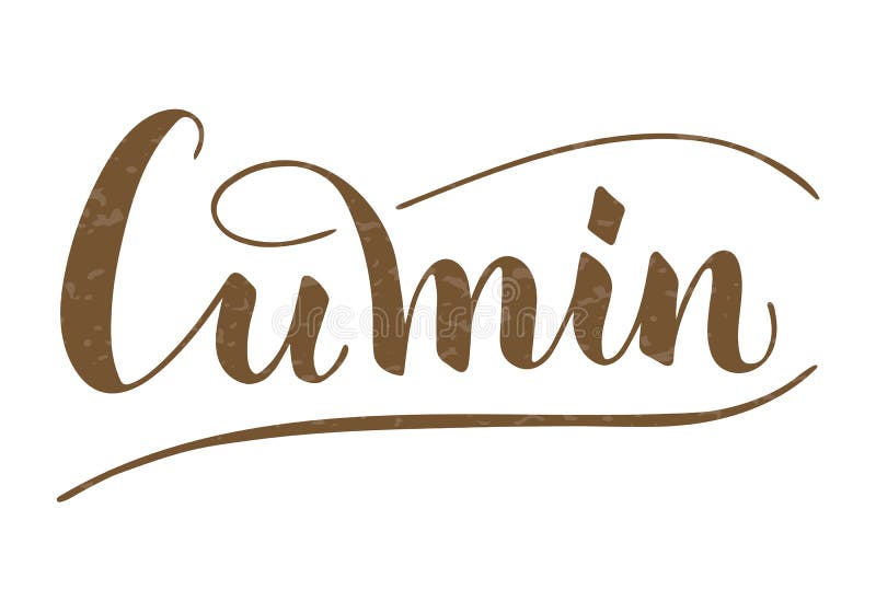 Cumin Powder Isolated White Background Stock Illustrations – 77 Cumin ...