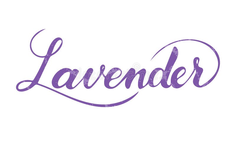 Vector Hand Written Lavender Text Isolated on White Background Stock ...