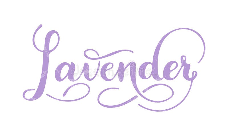 Vector Hand Written Lavender Text Isolated on White Background Stock ...