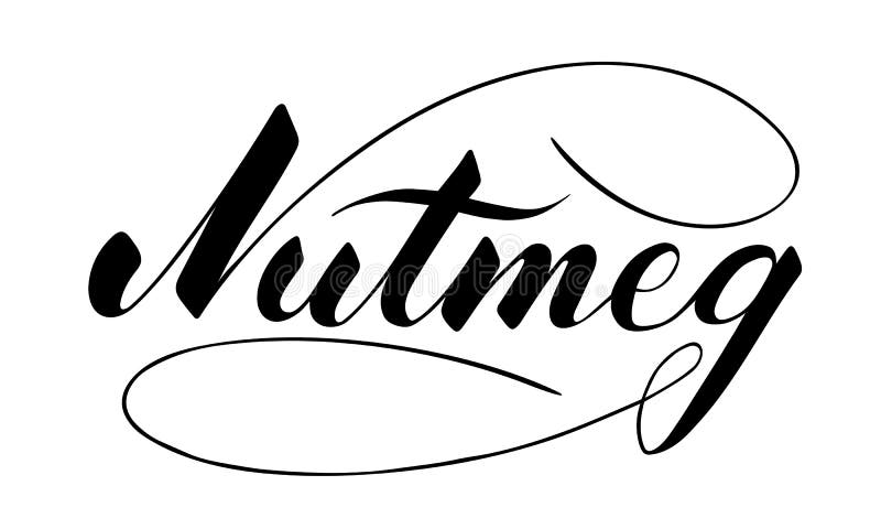 Script Brushpen Stock Illustrations – 904 Script Brushpen Stock ...