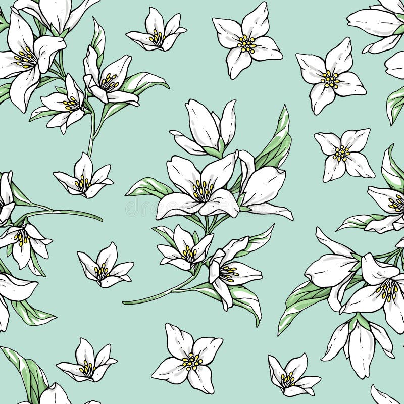 White Green Pattern Stock Illustrations – 1,446,390 White Green Pattern ...