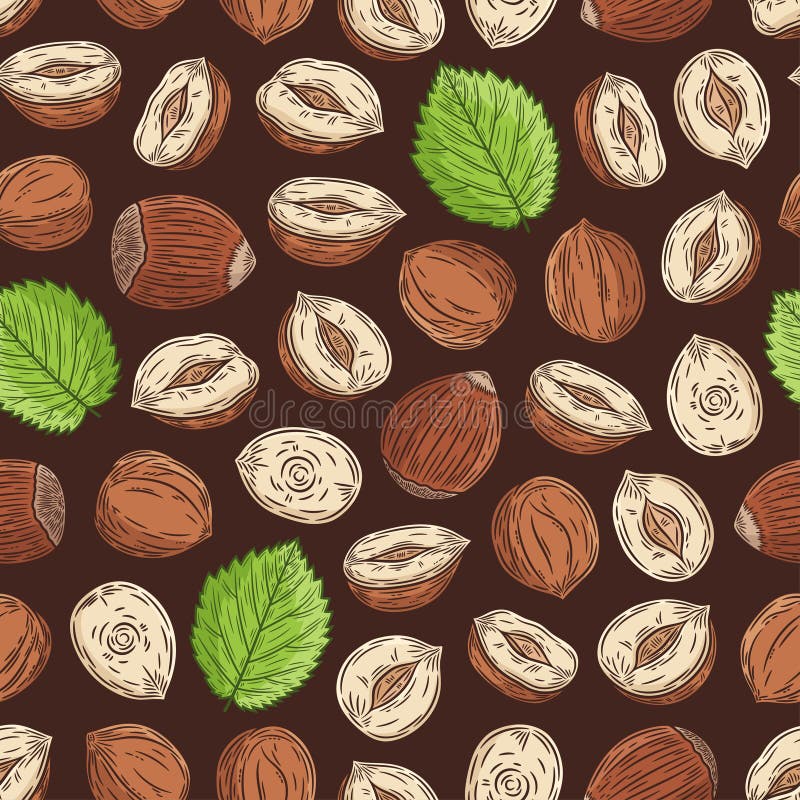 Vector Hazelnut Colorful Seamless Pattern Stock Vector - Illustration ...