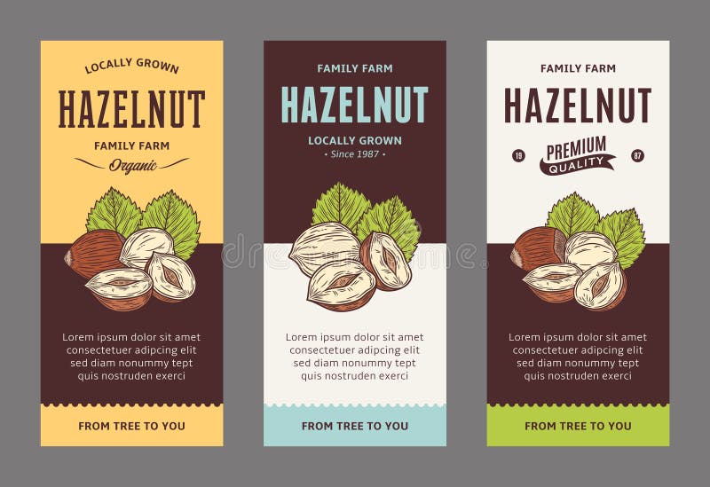 Vector Hazelnut Labels in Modern Style Stock Vector - Illustration of ...