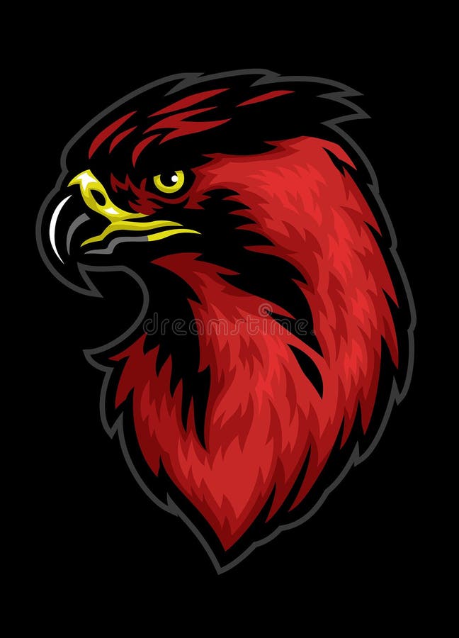 Head of Hawk in Drawing Style Stock Vector - Illustration of icon ...