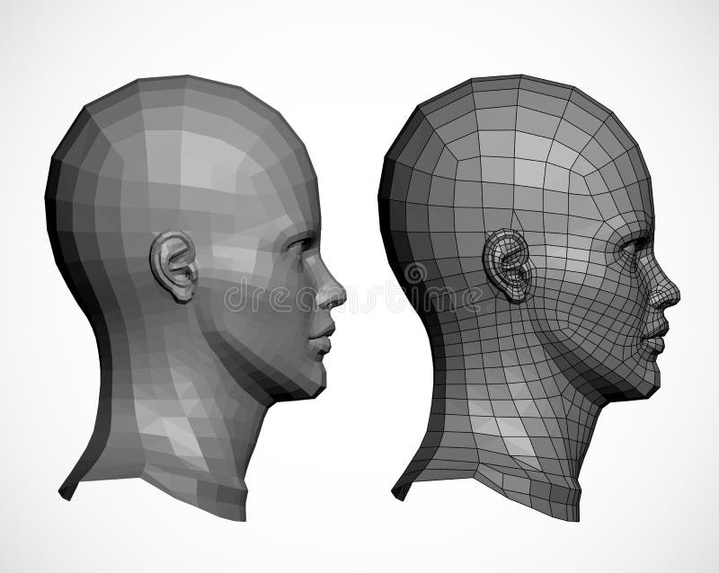 Half-face Wireframe Render Young Woman Stock Vector - Illustration of ...