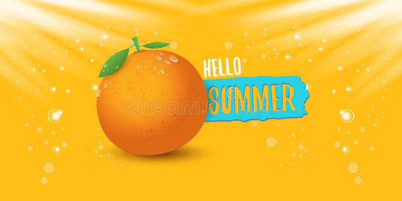 Vector Hello Summer Horizontal Banner or Flyer Design Template with ...