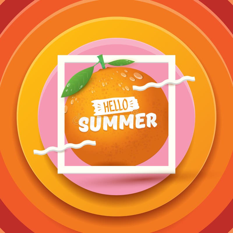 Vector Hello Summer Label or Flyer Design Template with Fresh Orange ...