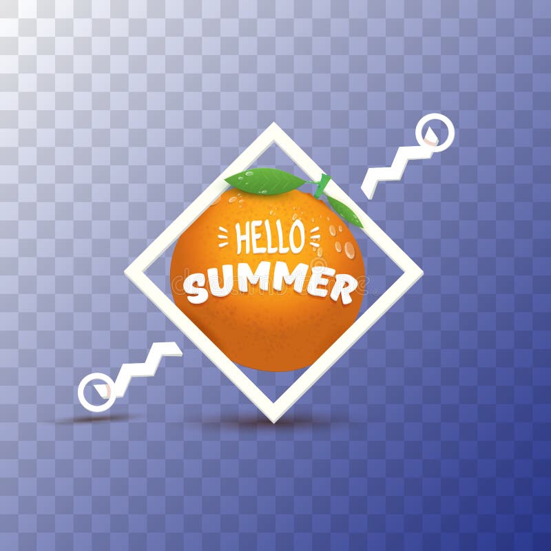 Vector Hello Summer Party Label or Flyer Design Template with Fresh ...