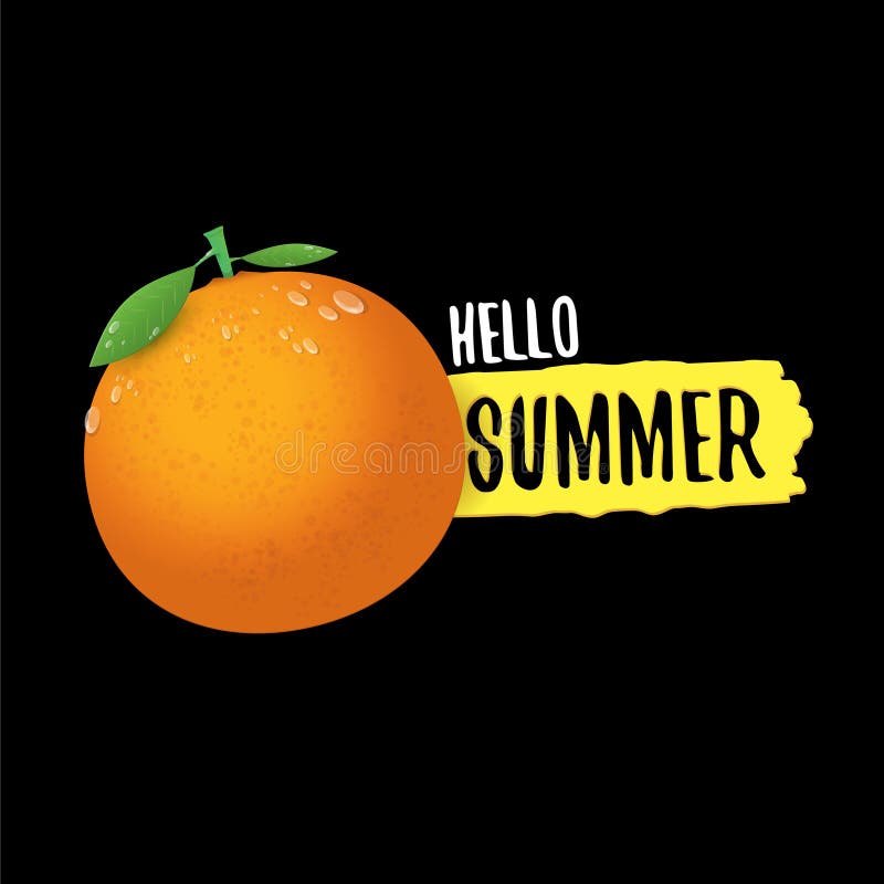 Vector Hello Summer Poster and Flyer Design Template with Fresh Orange ...