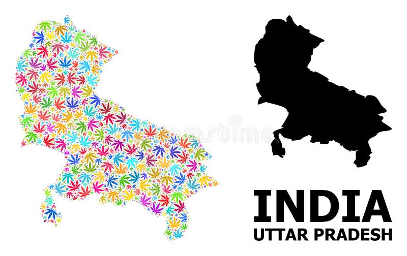 Vector Mosaic Map of Uttar Pradesh State of Bright Cannabis Leaves and ...