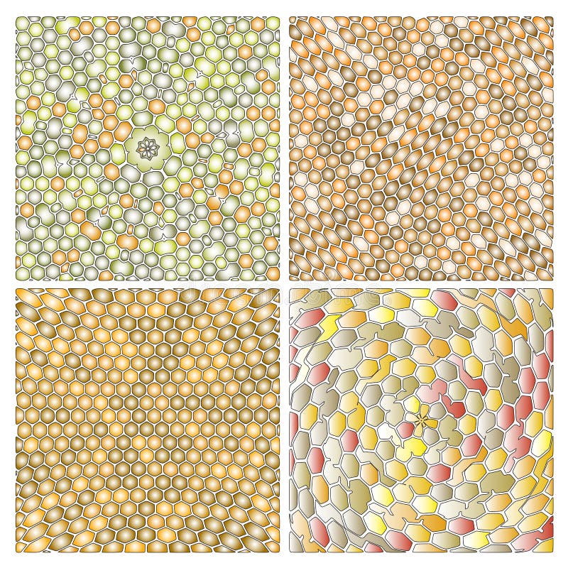 Vector hexagon tile stock vector. Illustration of flagstone - 57234592