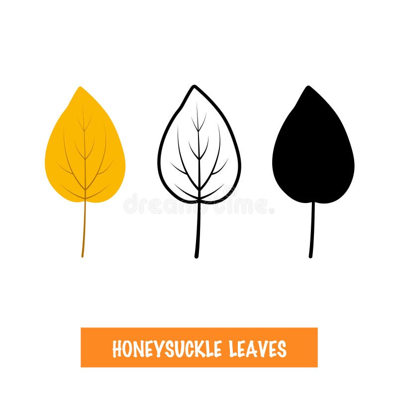 Honeysuckle Sign Stock Illustrations – 325 Honeysuckle Sign Stock ...