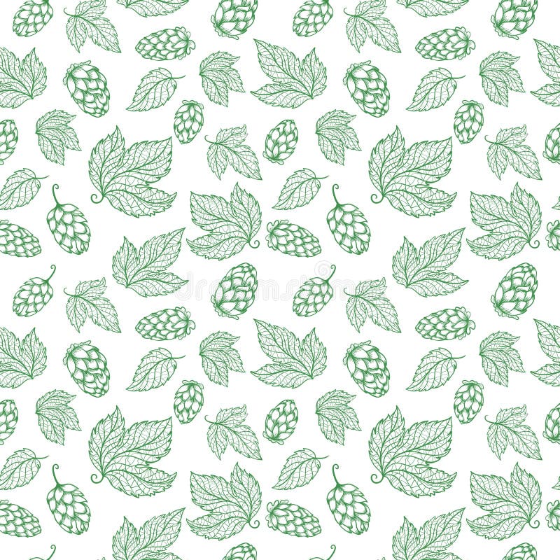 Vector Hops Pattern stock vector. Illustration of green - 77952894
