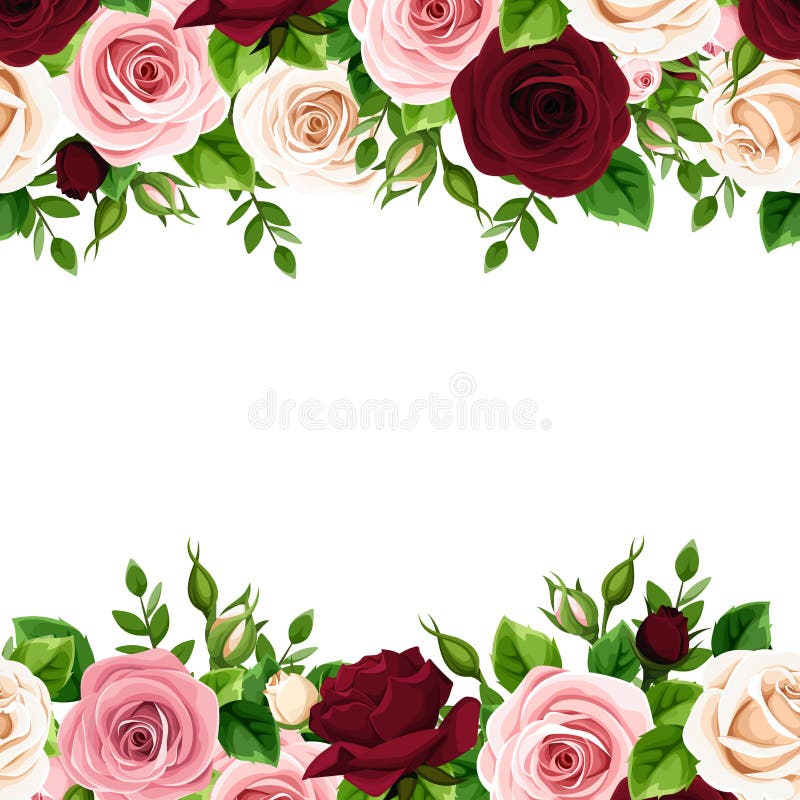 Banner with Burgundy, Pink and White Roses. Vector Illustration. Stock ...