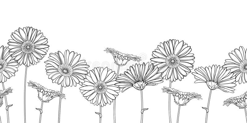 Gerbera Border Stock Illustrations – 1,493 Gerbera Border Stock ...