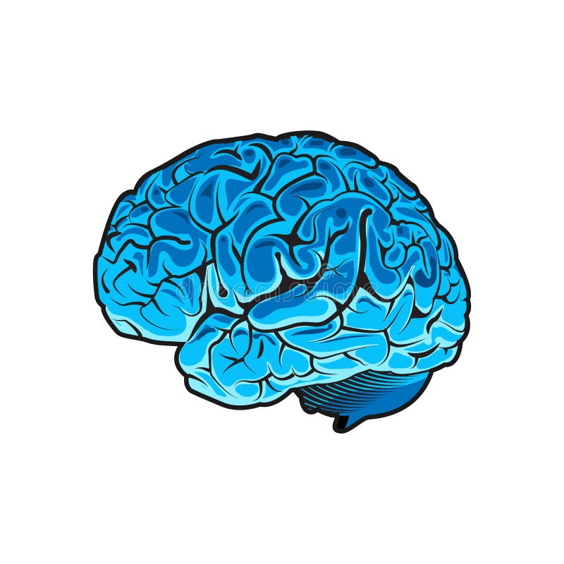 Human brain Blue stock vector. Illustration of graphic - 212126399