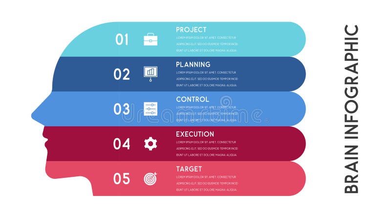 Vector Human Head and Other Elements for Infographics Stock Vector ...