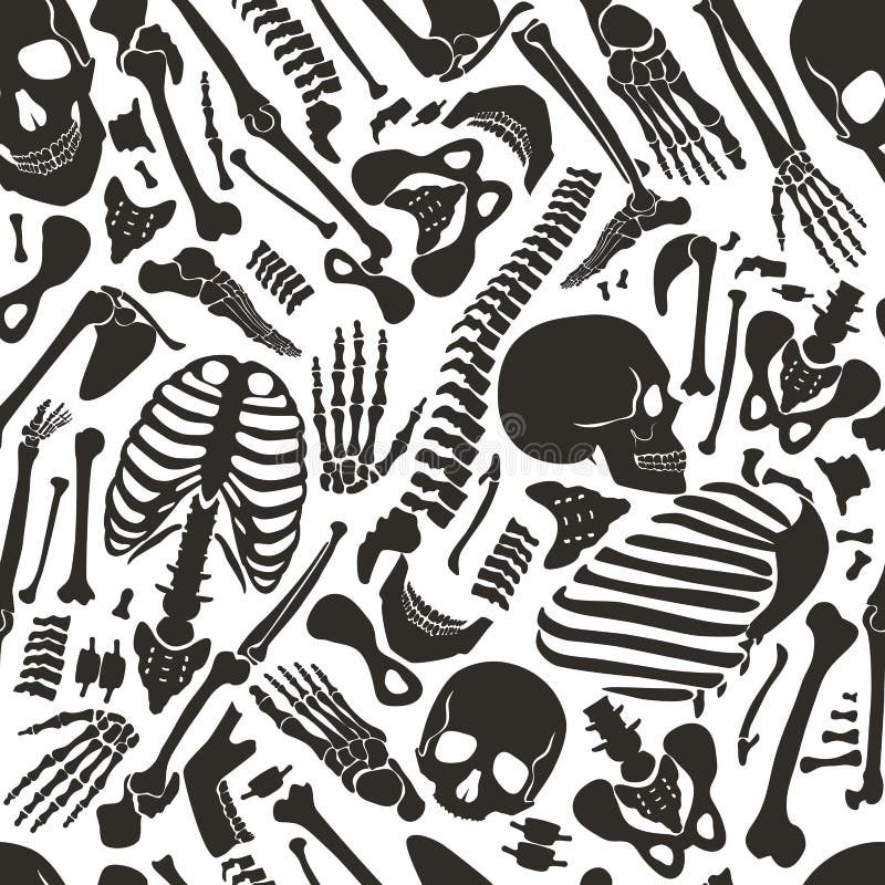 Vector Human Skeleton Seamless Pattern with Skulls and Other Various ...
