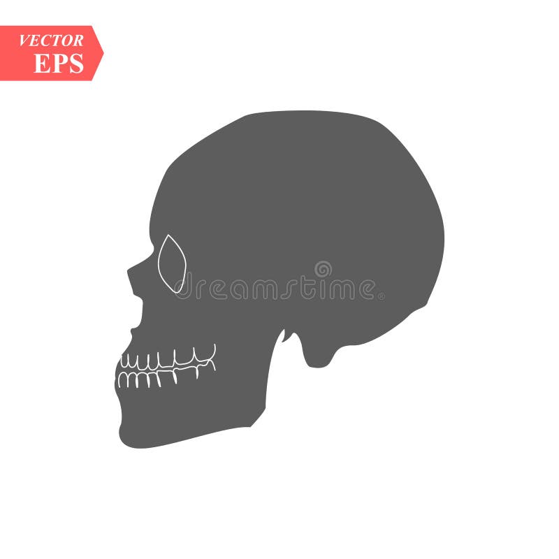Vector Human Skull Side View Silhouette. Eps 10 Stock Illustration ...