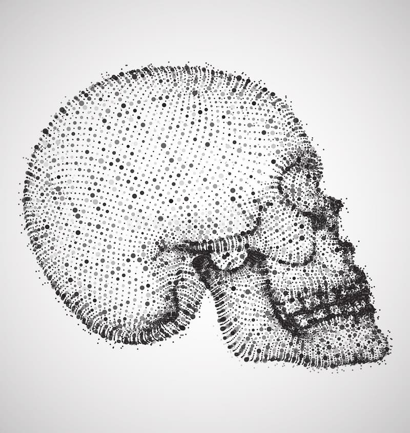 Vector Human Skull. Volume of Points and Polygons. the Concept of Death ...