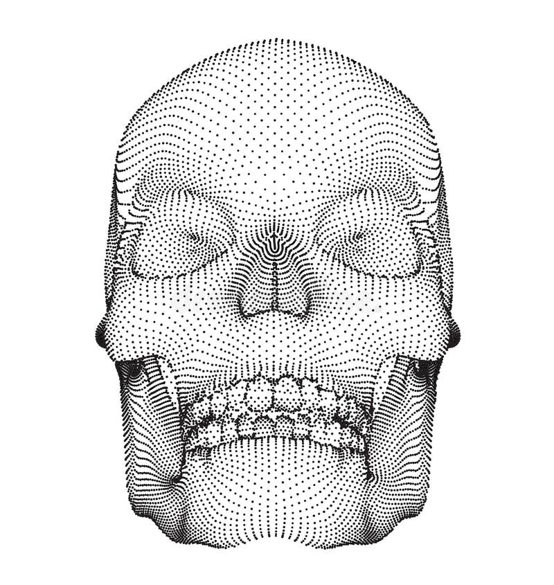 Vector Human Skull. Volume of Points and Polygons. the Concept of Death ...