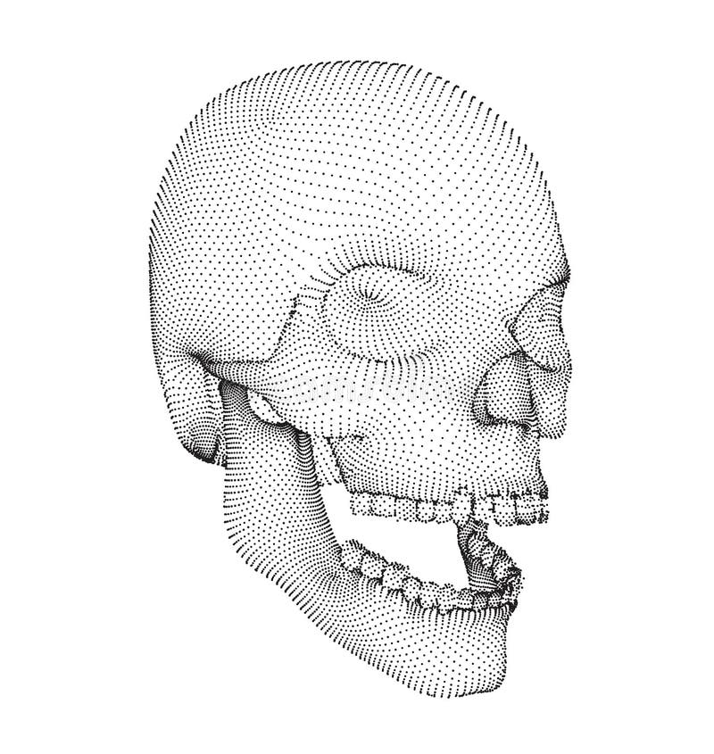 Vector Human Skull. Volume of Points and Polygons. the Concept of Death ...