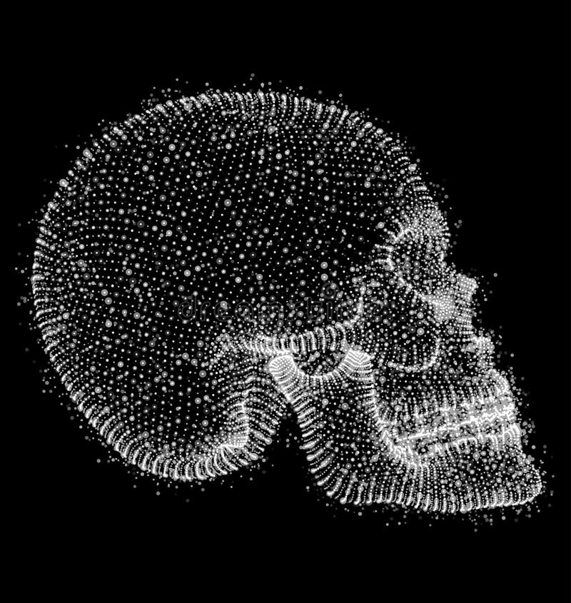 Vector Human Skull. Volume of Points and Polygons. the Concept of Death ...