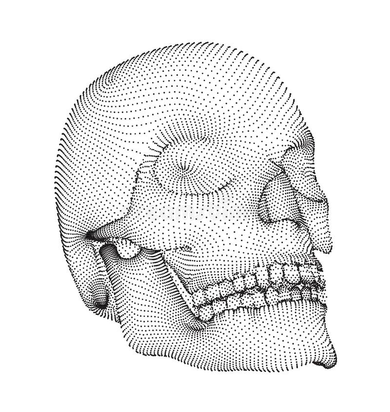Vector Human Skull. Volume of Points and Polygons. the Concept of Death ...