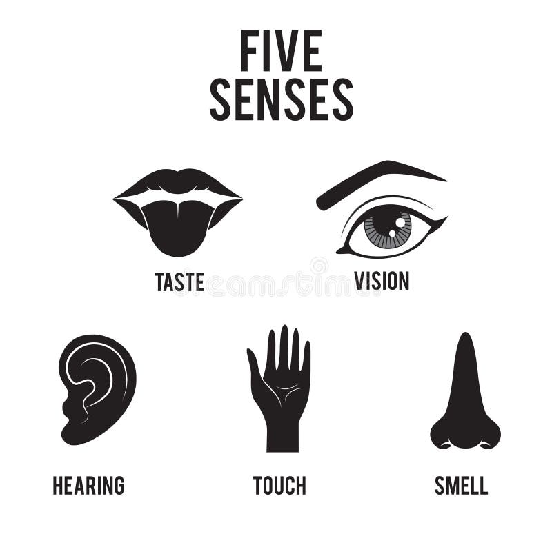 Five Senses Vector Icon on White. Stock Vector - Illustration of ...
