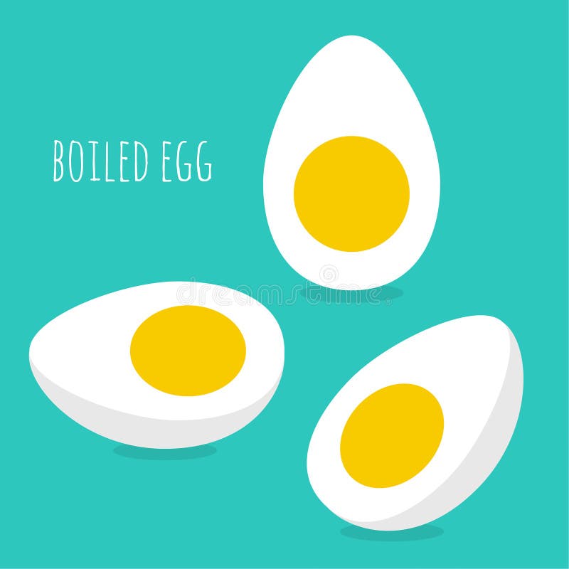 Hard Boiled Eggs Illustration Stock Illustrations 362 Hard Boiled